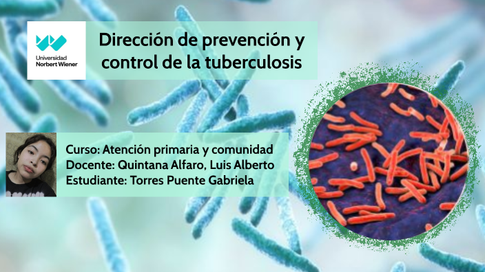 Dirección de prevención y control de la tuberculosis by gabriela torres ...