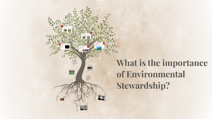 What is the importance of Environmental Stewardship? by Cecilia Scarlet ...