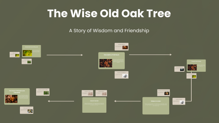 The Wise Old Oak Tree by Raquel M on Prezi