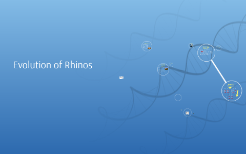 Evolution of Rhinos by gloria esarco on Prezi