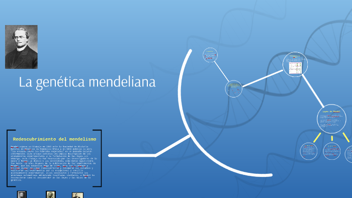 La genética mendeliana by andres varela on Prezi