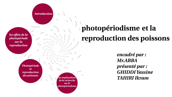 photopériode by Ikram Tahiri on Prezi