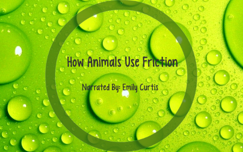 How Animals Use Friction by Anna Belle on Prezi