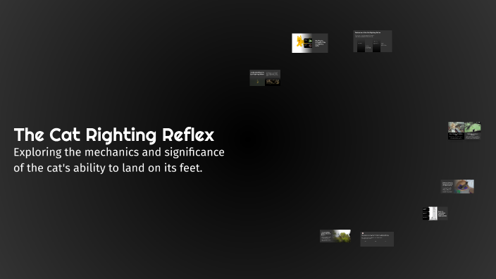 The Cat Righting Reflex by 여진 이 on Prezi