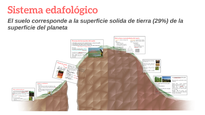 Sistema edafologico by Maria Salcedo on Prezi