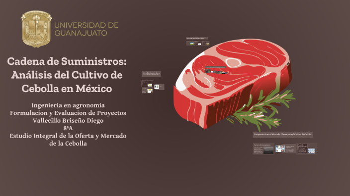 Cadena de Suministros: Análisis del Cultivo de Cebolla en México by ...