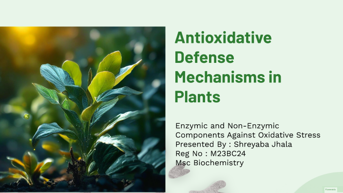 Antioxidative Defense Mechanisms in Plants by shreya jhala on Prezi