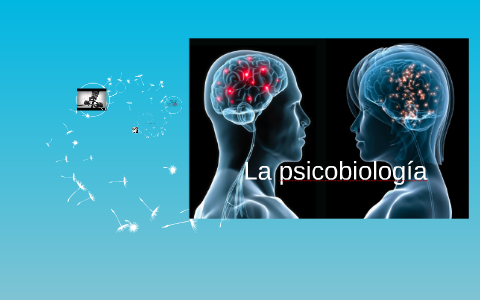 La psicobiología by Pizza Planet on Prezi