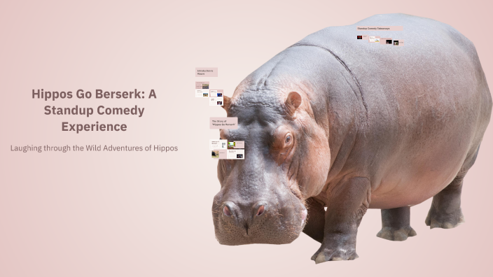 Hippos Go Berserk: A Standup Comedy Experience by Matt Bussey on Prezi