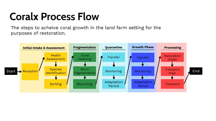 Coralx Process Flow by CoralX Foundation on Prezi