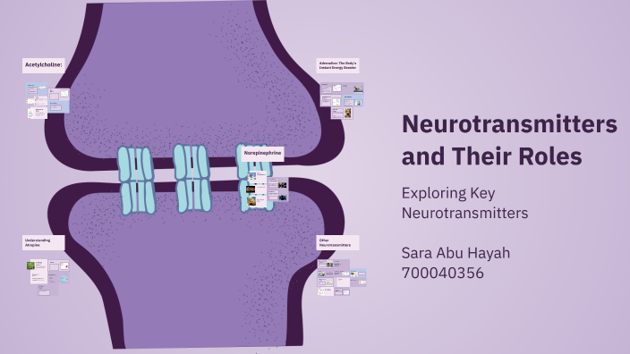 Neurotransmitters and Their Roles by Sara AH on Prezi