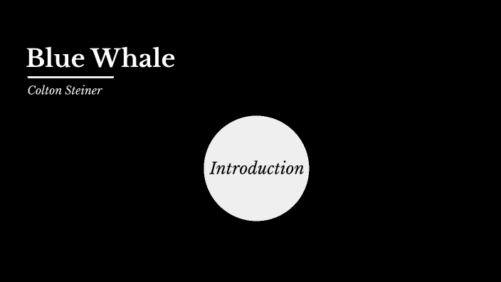 Blue Whale Colton Steiner by Colton Steiner on Prezi
