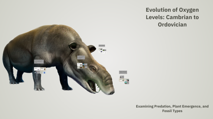 Evolution of Oxygen Levels: Cambrian to Ordovician by Tech By Mohamad on Prezi