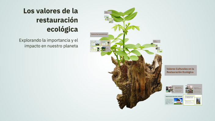 Los valores de la restauración ecológica by Nilo Bayardo Montesdeoca ...