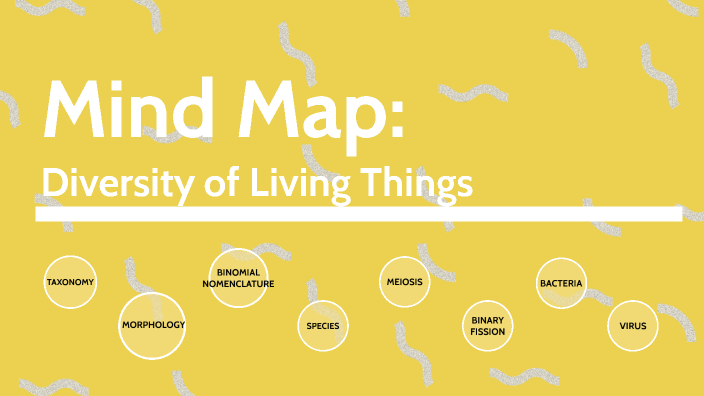 Bio Mind Map by julia boelens on Prezi