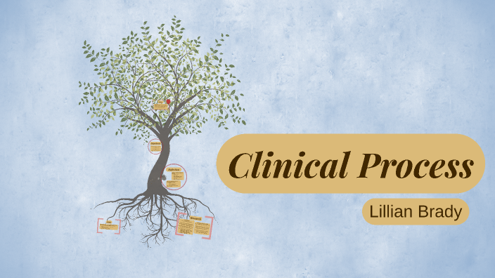 Clinical Process Presentation by Lillian Brady on Prezi