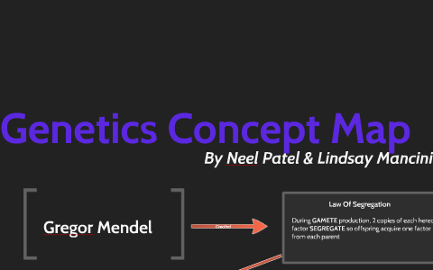 Genetics Concept Map by Neel Patel on Prezi