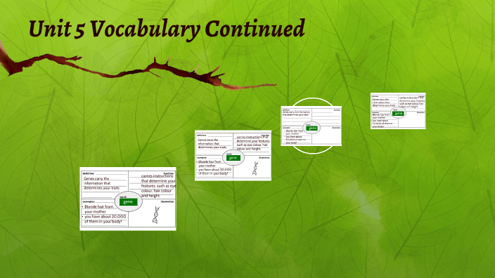 Unit 5 Vocabulary by Jennifer Lindauer on Prezi