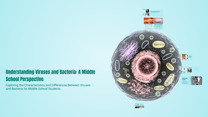 Understanding Viruses and Bacteria: A Middle School Perspective by Le ...