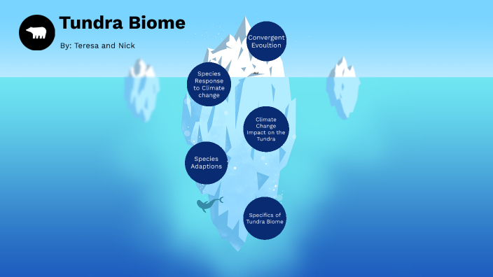 Tundra Biome Presentation by Teresa Gentes on Prezi