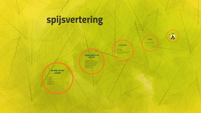 spijsvertering by Ilse Schoonjans