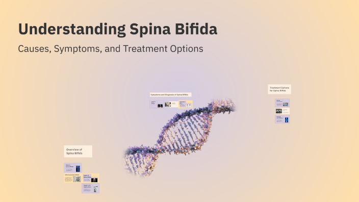 Understanding Spina Bifida by Mwajuma Kabwe on Prezi