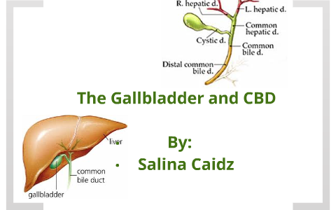 Gallbladder and CBD by salvador gutierrez on Prezi