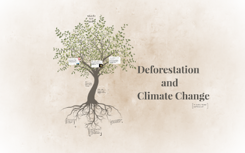 Deforestation and Climate Change by Amelia Ewald on Prezi
