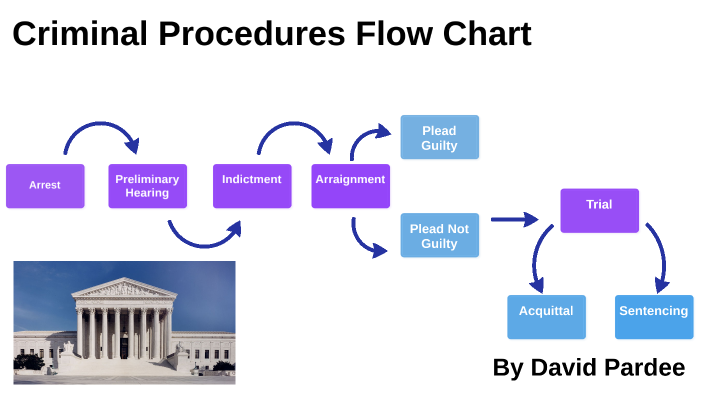 criminal procedures flow chart by David Pardee on Prezi