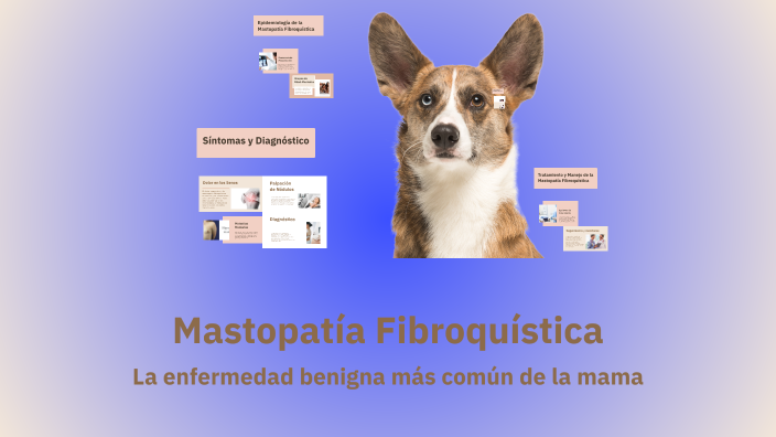 Mastopatía Fibroquística by aide cardenas salgado on Prezi