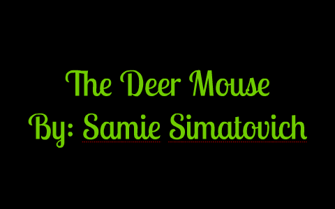 The deer mouse is a prime example of Natural Selection. by Samie ...