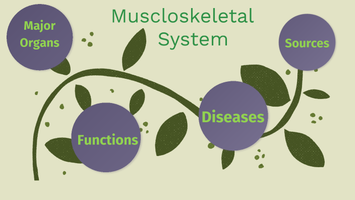 Muscloskeletal System by Annabelle Averill on Prezi