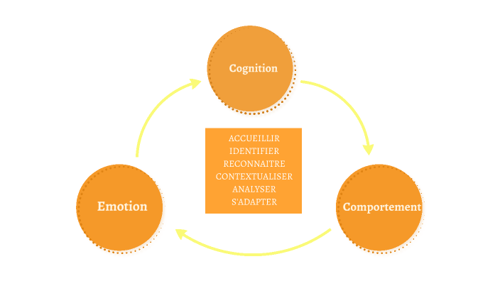 Triade cognition-émotion-comportement by Coraline GAUCHER on Prezi