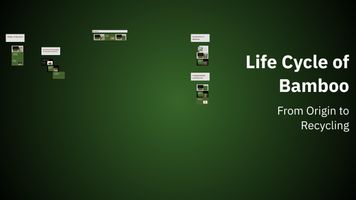 Life Cycle of Bamboo by Jacob Way on Prezi