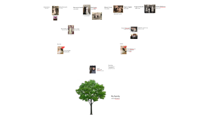 Joseph McCarron Family Tree by Joseph McCarron on Prezi