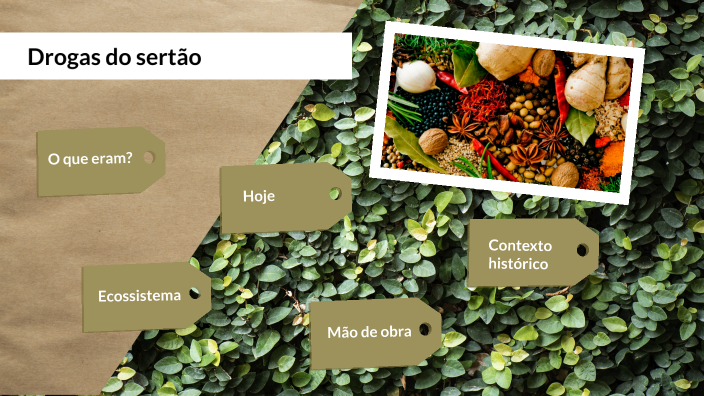 Drogas do sertão by jamily paz on Prezi