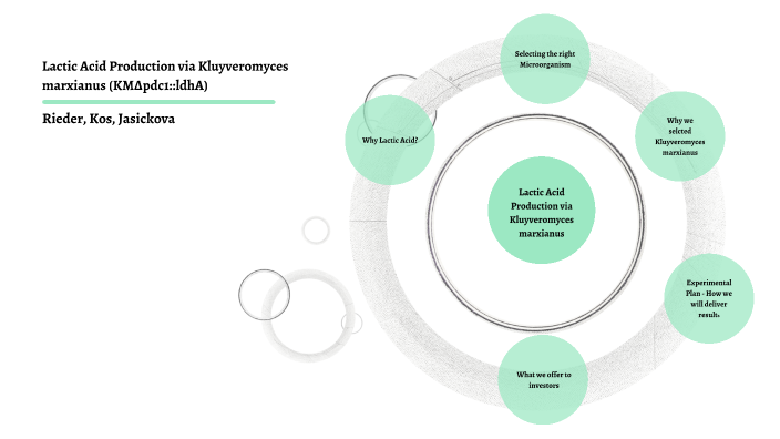 Lactic Acid Production via Kluyveromyces marxianus by Lisa Rieder on Prezi