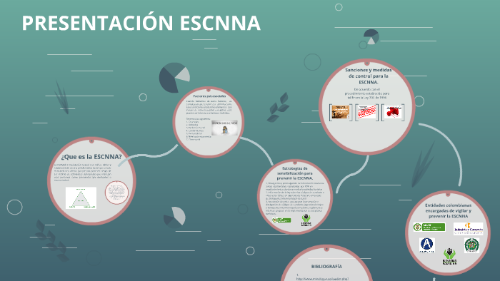 ¿Que es la ESCNNA? by Luis Eduardo Oviedo Gonzalez on Prezi