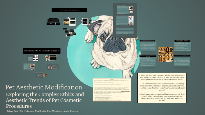 Pet Aesthetic Modification by Trigya Gola on Prezi