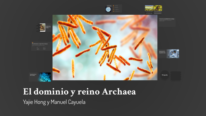 El dominio y reino Archaea by Manu Cayuela Grosu on Prezi