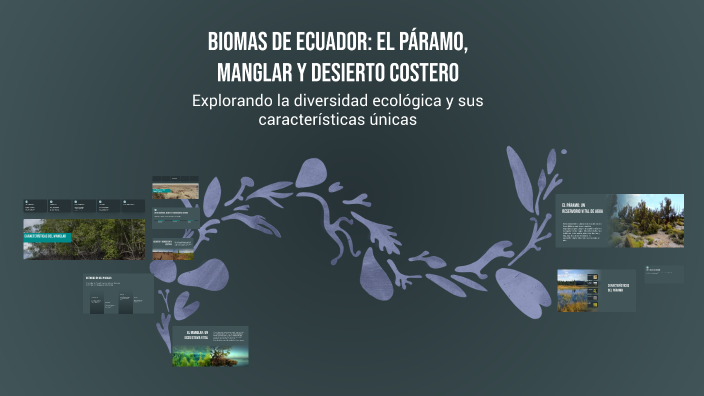 Biomas de Ecuador: El Páramo, Manglar y Desierto Costero by santiago ...