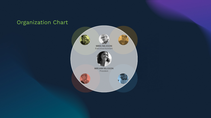Organization Chart by Thucktm on Prezi