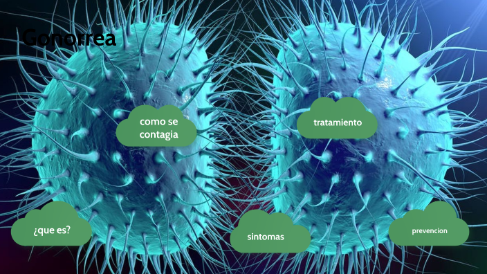 Enfermedad Gonorrea by Shael Alvarado on Prezi
