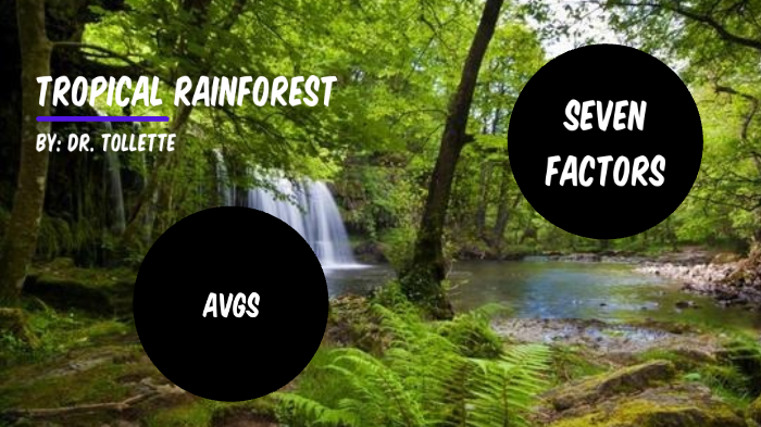 tropical Rainforest by Channing Tollette on Prezi