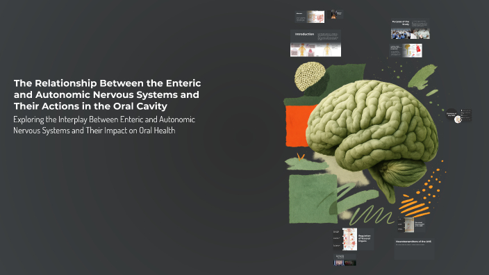 The Relationship Between the Enteric and Autonomic Nervous Systems and ...