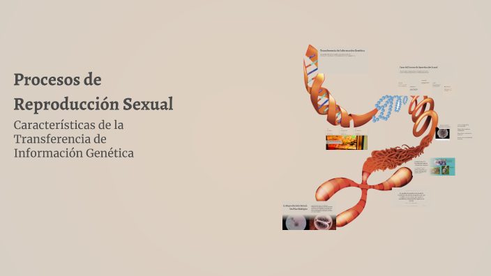 Procesos de Reproducción Sexual by Luis Francisco Arguelles Moreno on Prezi