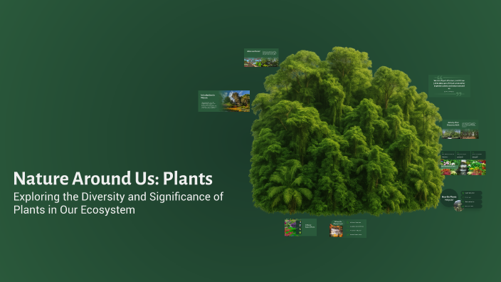 Nature Around Us: Plants by Ольга Вікторівна Умрихіна on Prezi