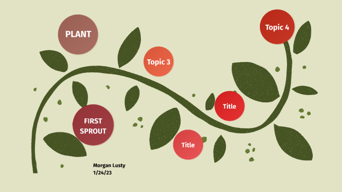 a red banana life cycle by morgan lusty on Prezi