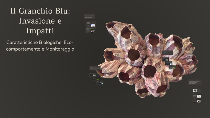 Il Granchio Blu: Invasione e Impatti by riccardo metelli on Prezi