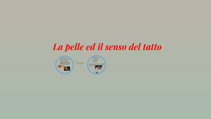 La pelle ed il senso del tatto by Daniele Contino on Prezi